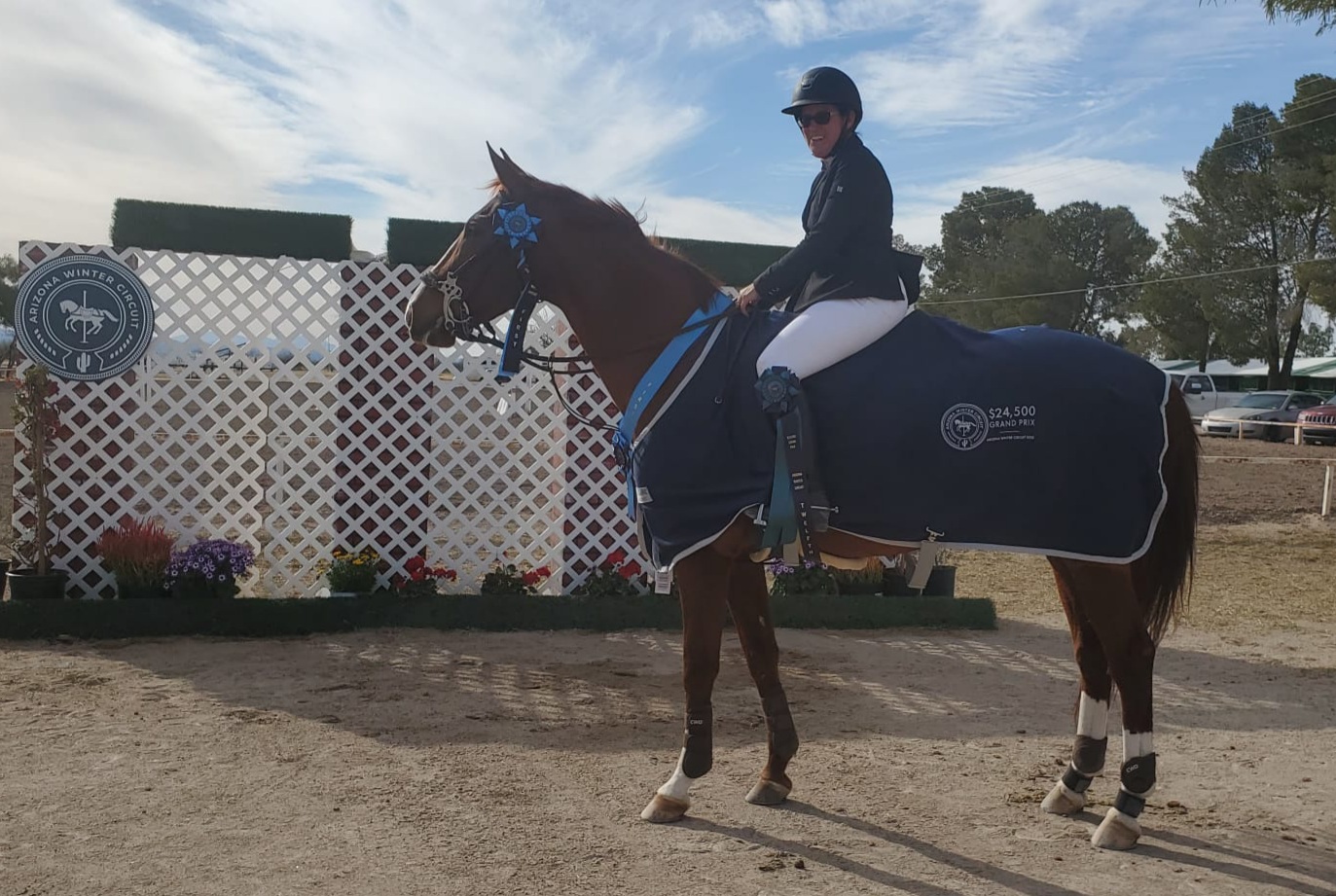 Elysian Farm – show jumping, breeding, training, sales