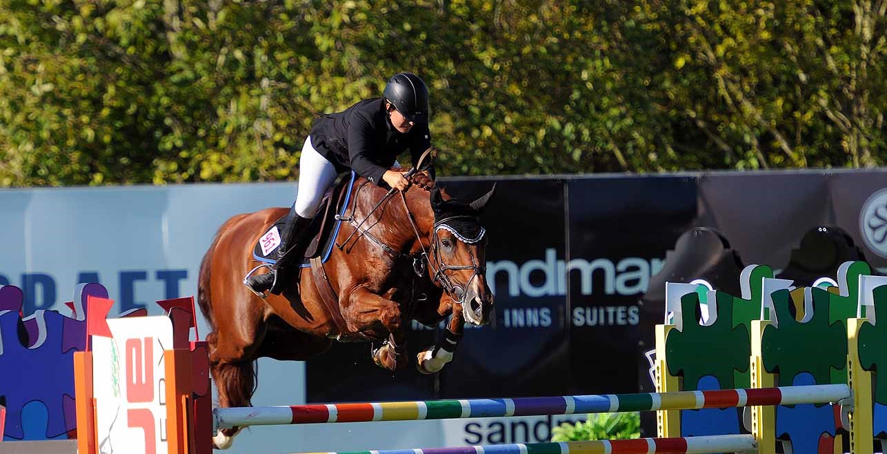 Stallions – Elysian Farm