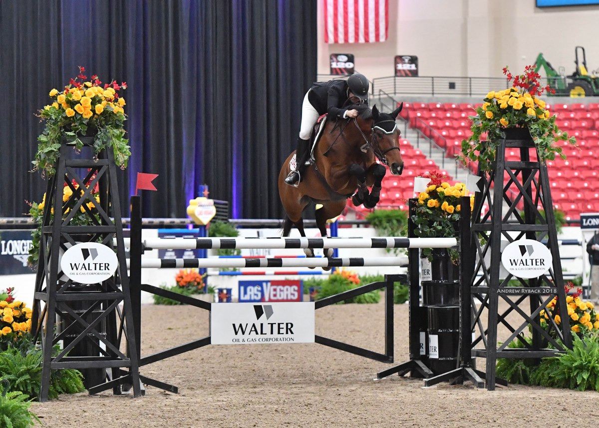 Sold Horses – Elysian Farm