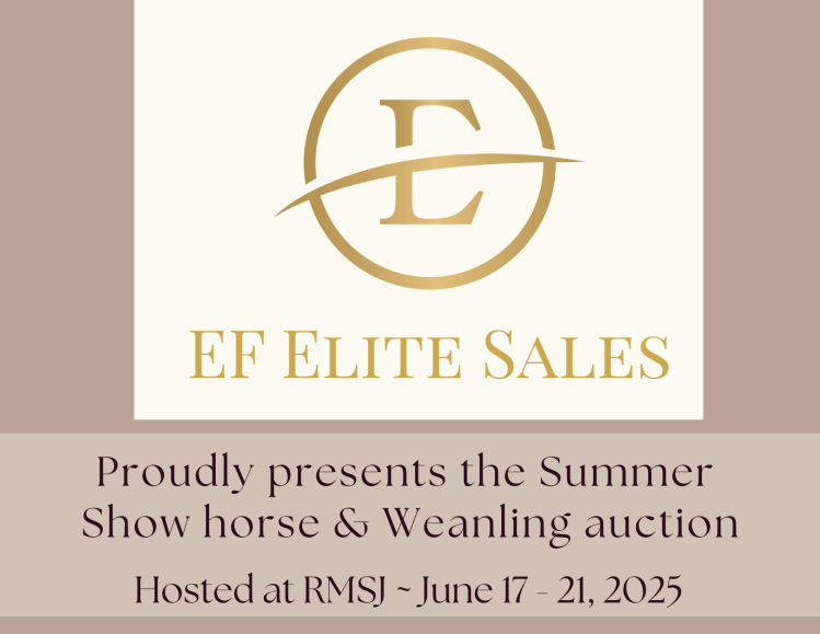 Elysian Farm – show jumping, breeding, training, sales