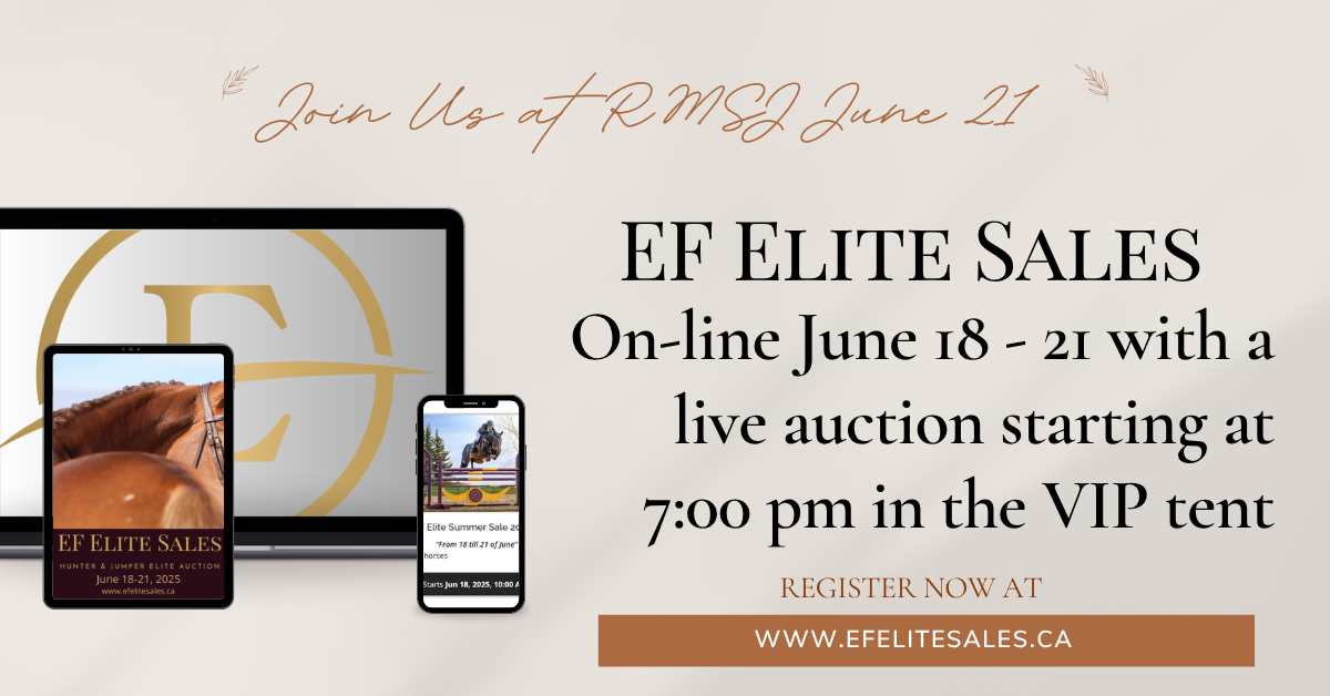 Elysian Farm – show jumping, breeding, training, sales